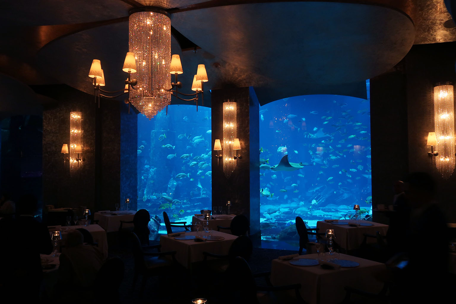 ATLANTIS THE PALM, DUBAI - Sophie Hannah